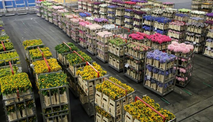 Modern-day Importance of Customs Brokers - Importing/Exporting