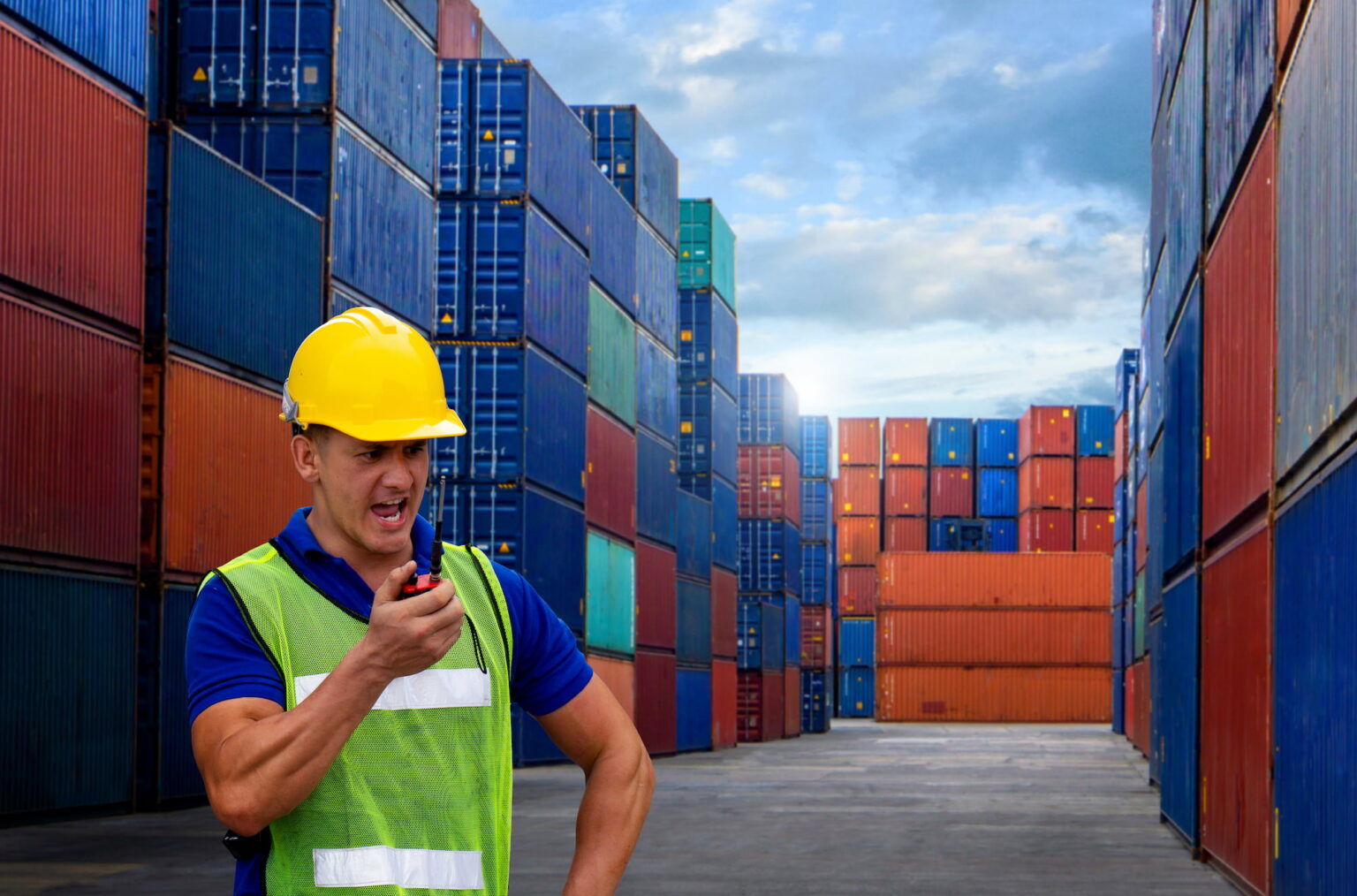 Customs Clearance For Temu - Import/Export Shipping Company