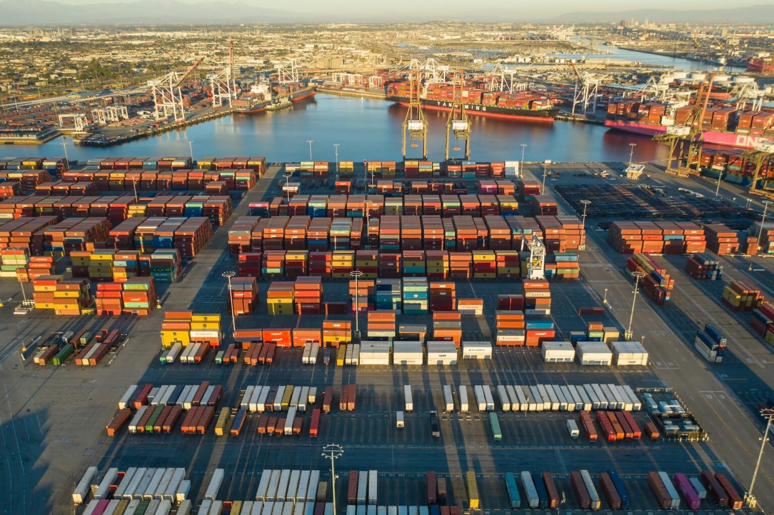 Customs Clearance For Temu - Import/Export Shipping Company