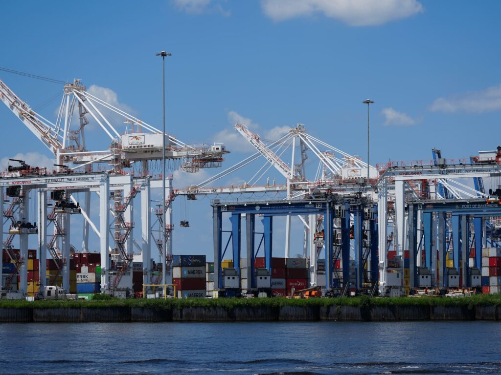 Customs Clearance For Temu - Import/Export Shipping Company