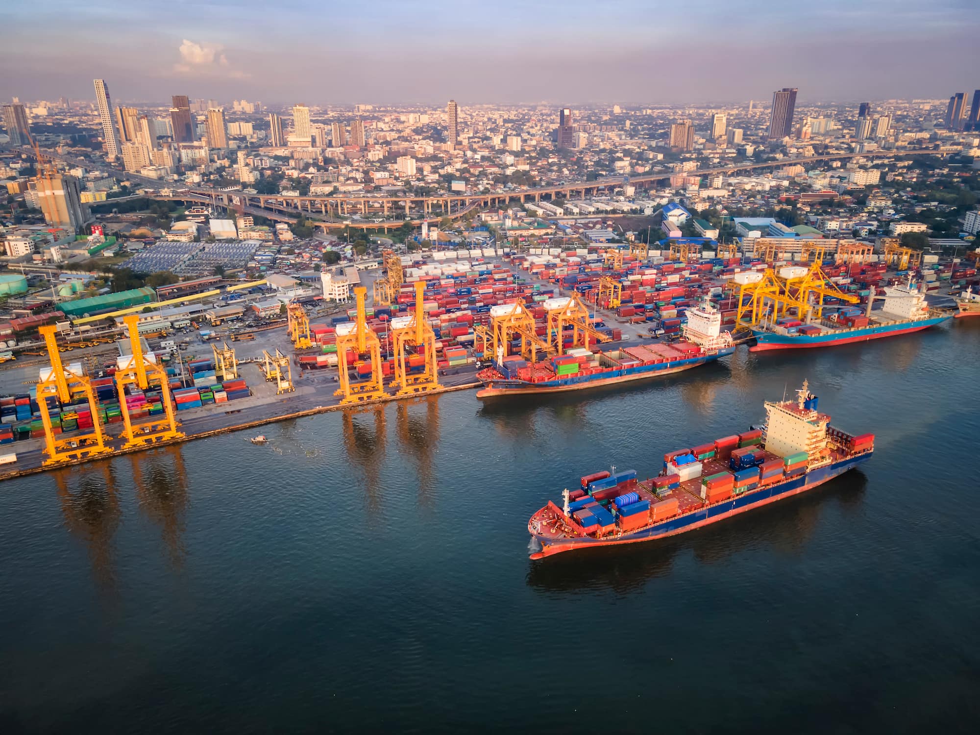 Customs Clearance For Temu - Import/Export Shipping Company